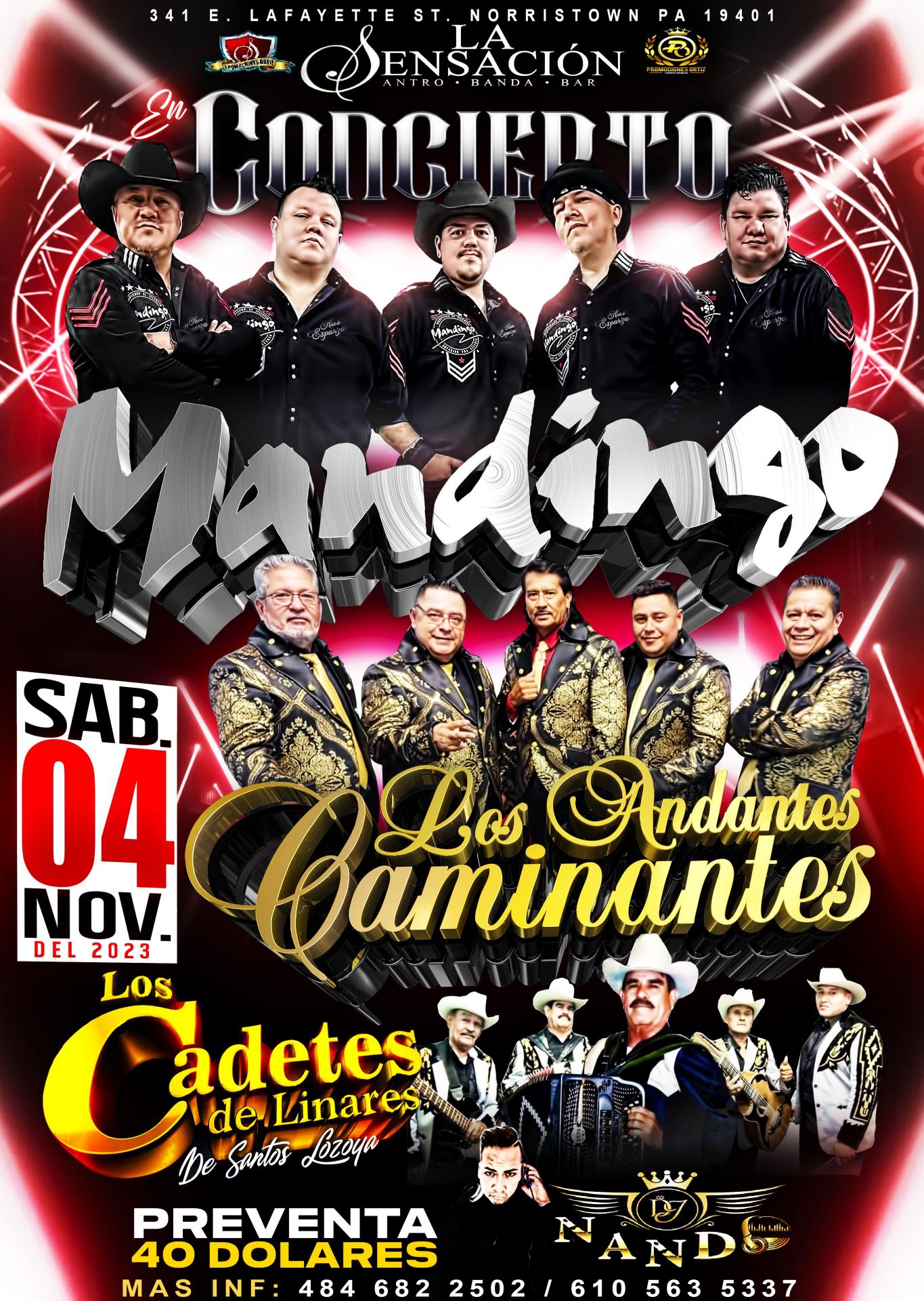 Mandingo Tickets Boletosexpress